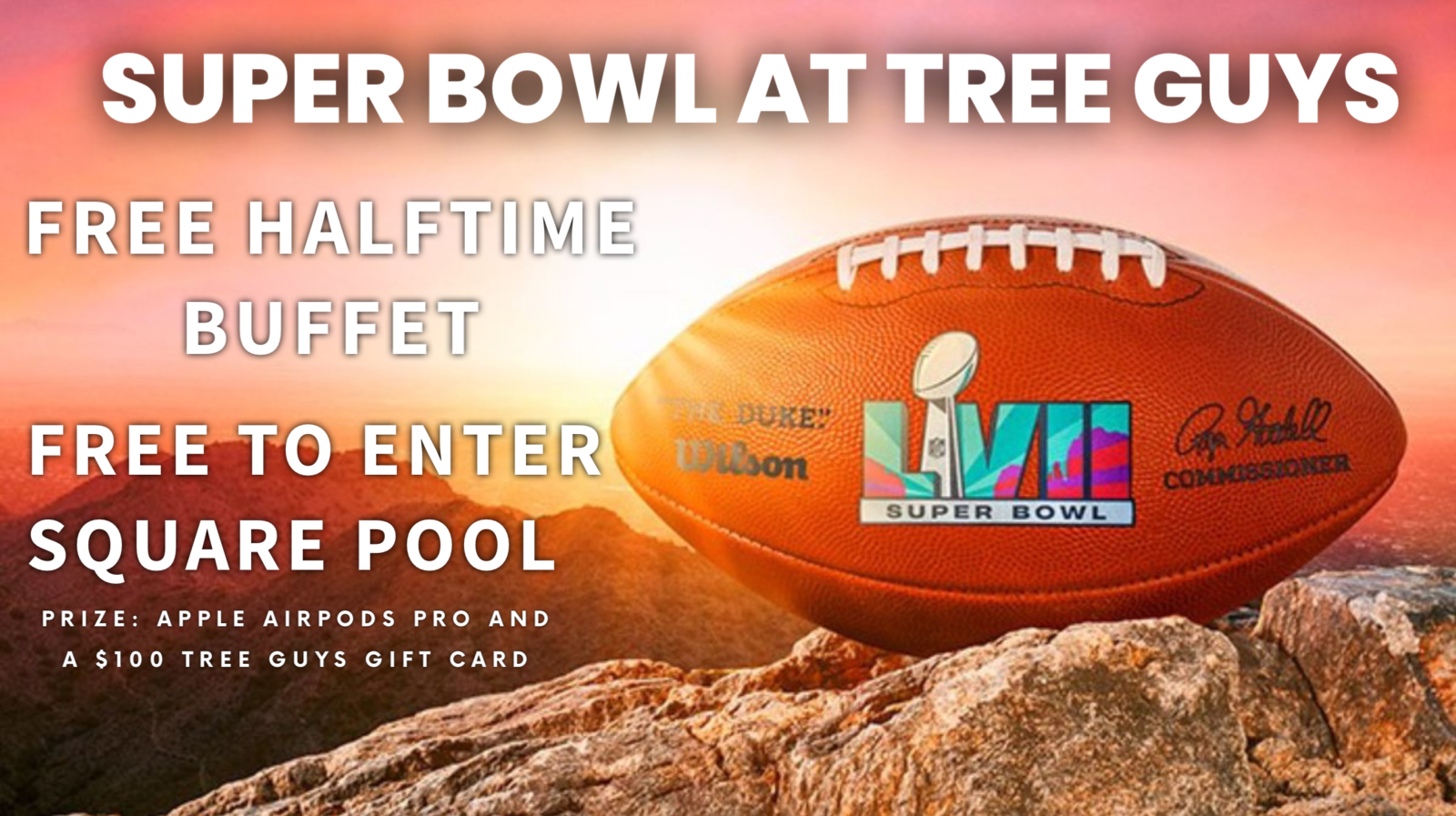 TREE-GUYS Pizza Pub – Serving Itasca delicious food since 1992!